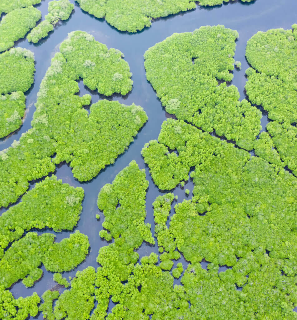 Sustainable Wastewater Treatment | Watershed Protection